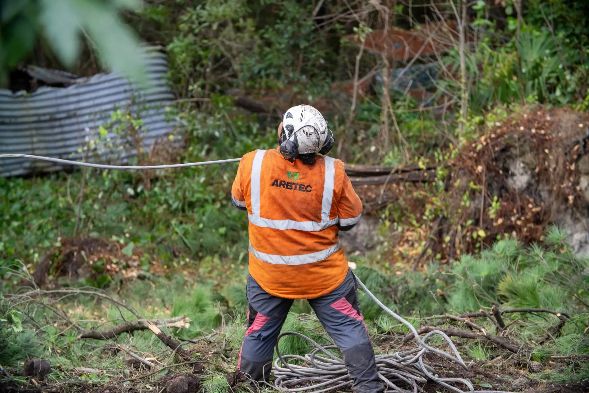 Tree Cutting Services in Yarra Valley - Arbtec Tree Removal