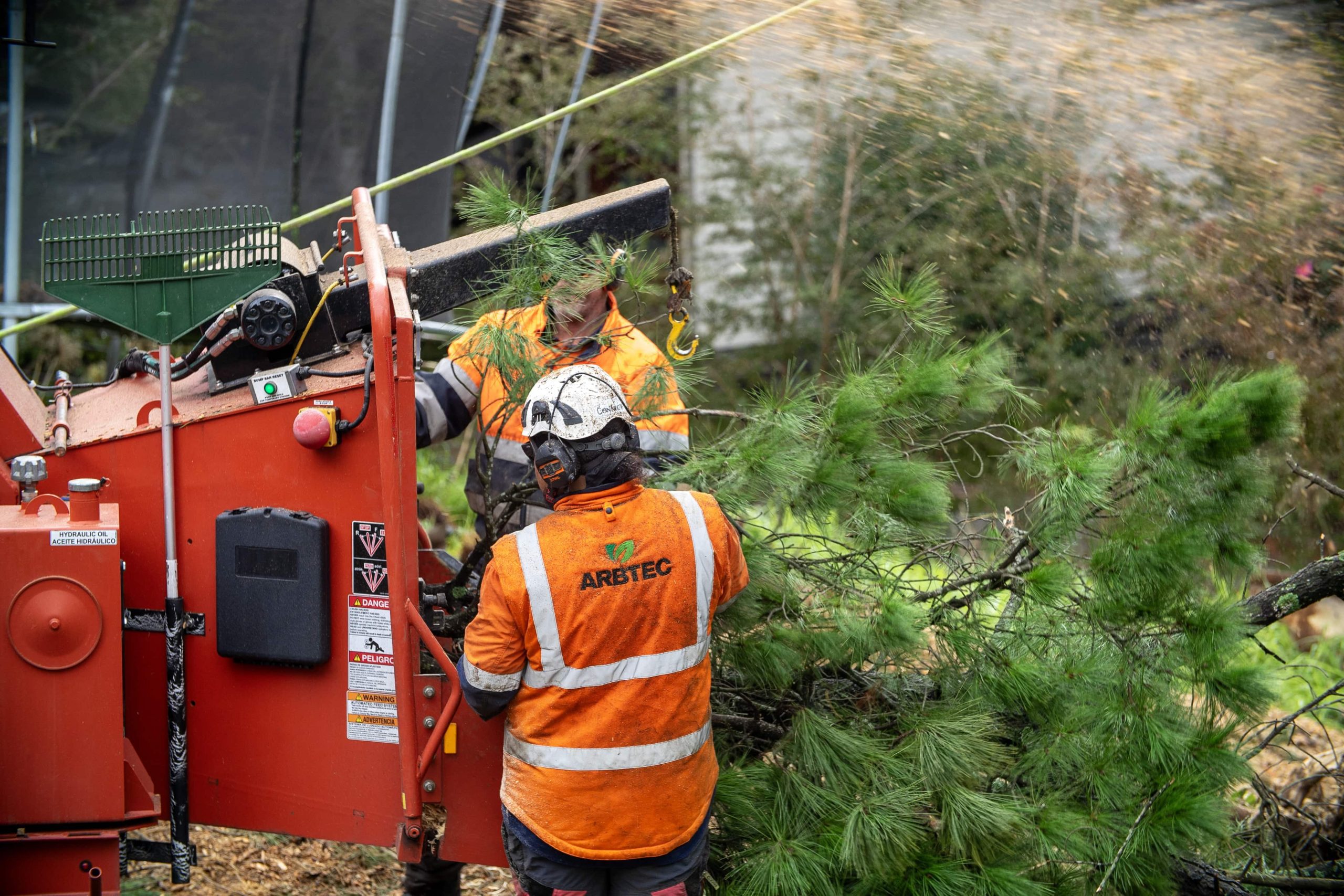 Tree Cutting Services in Yarra Valley - Arbtec Tree Removal